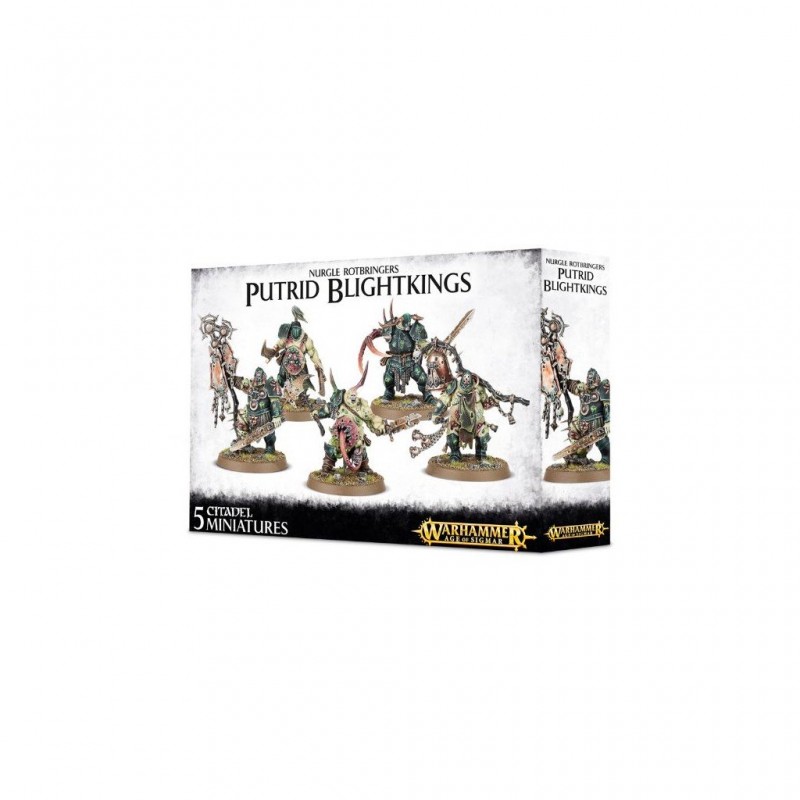Warhammer AOS : Maggotkin of Nurgle Putrid blightkings